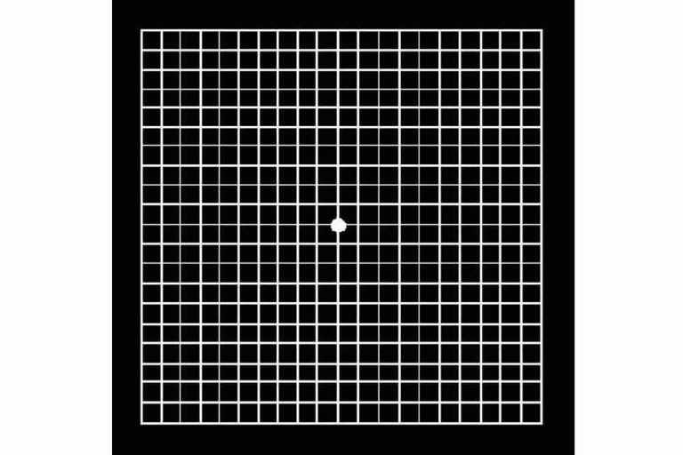 Rejilla de Amsler - En Ojopedia